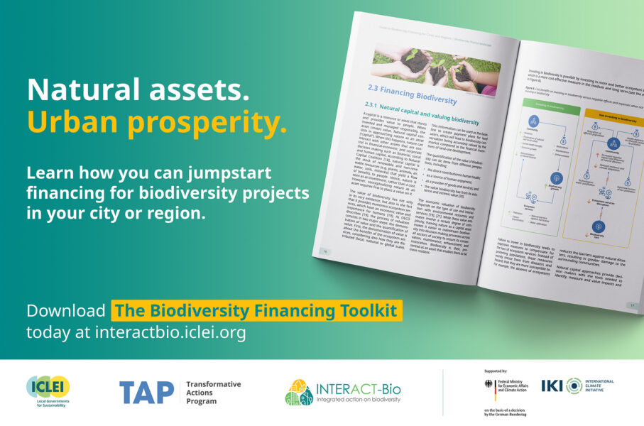ICLEI Japan – – Local Governments For sustainability